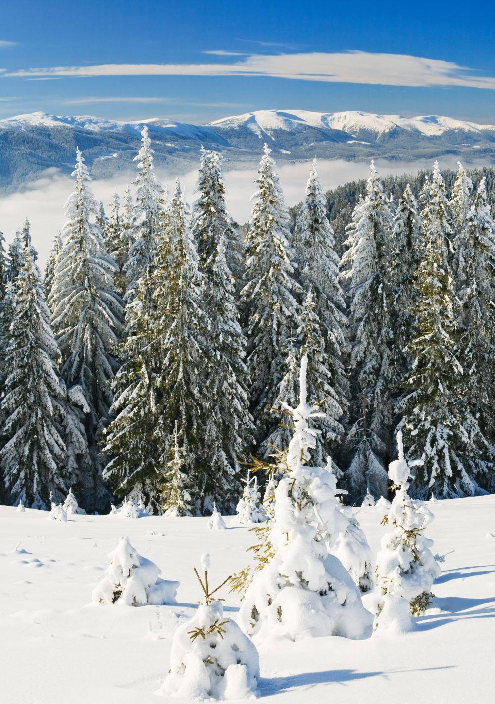 Tour v Karpaty 3 | TourUA